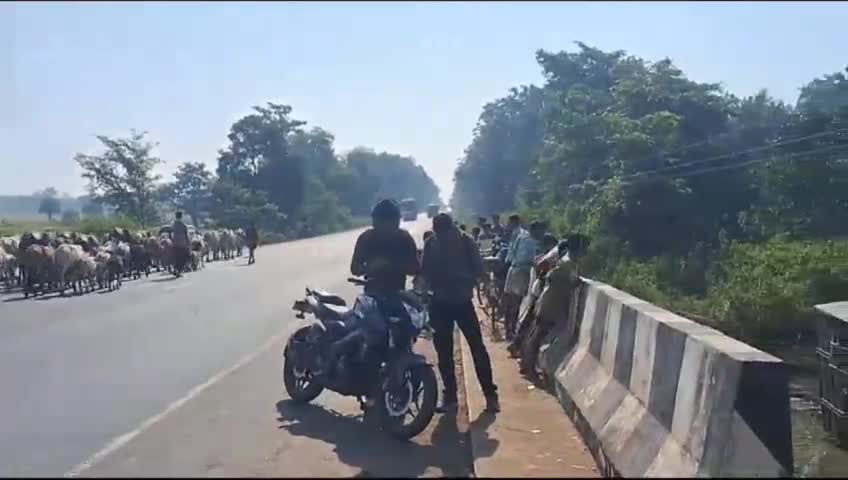 कोंडागांव: सुकुरपाल NH-30 पर पुल से नीचे गिरी बस, कोई जनहानि नहीं