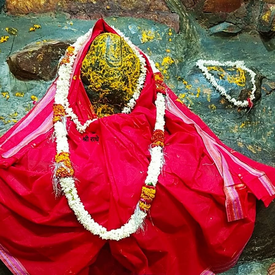 Rajgarh, Churu : राजगढ़: गांव नांगल बड़ी में 4 दिन लगातार टोद्दी यो का ...