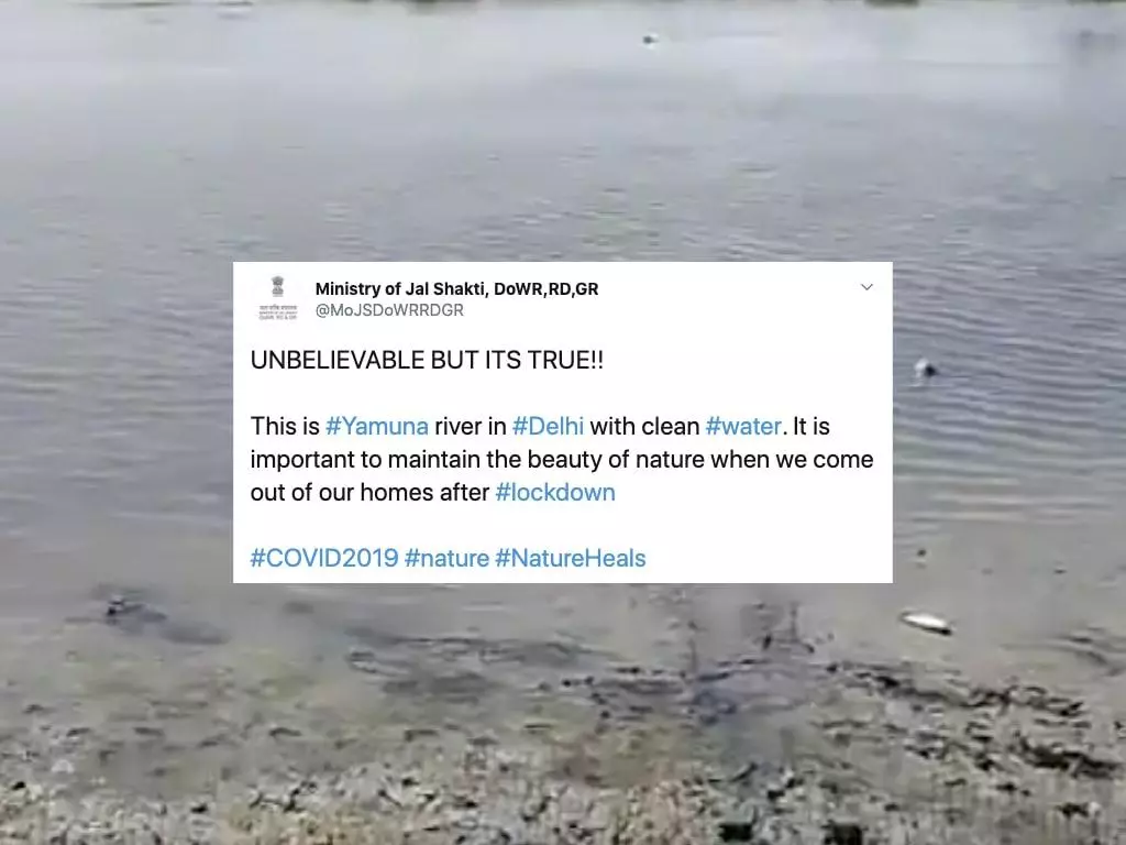 Unbelievable but true: Water ministry on video of clean Yamuna amid ...